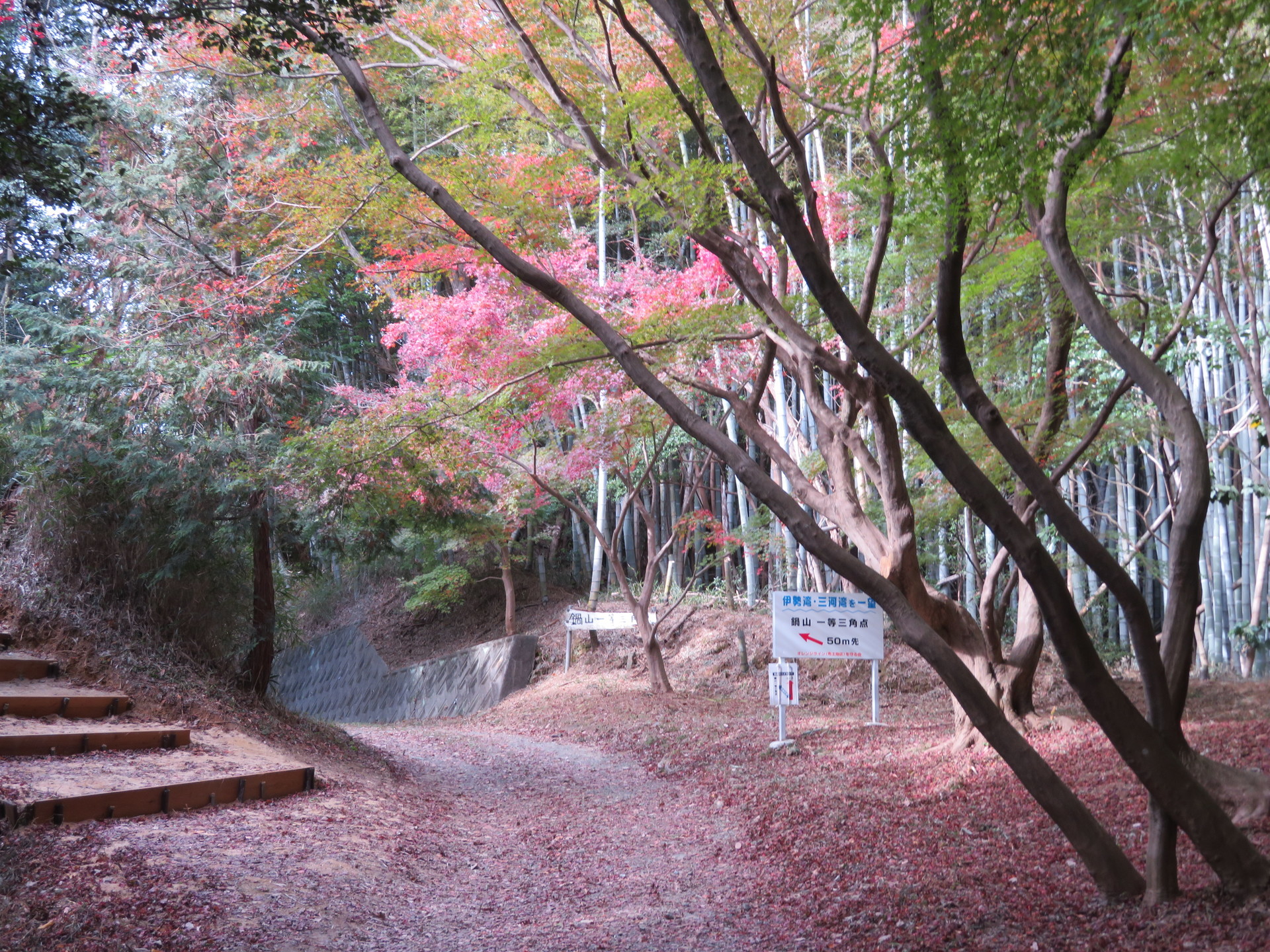 オレンジライン: このまま行こう